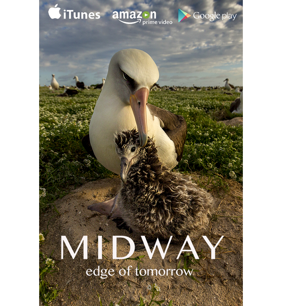 Midway Film Available on Amazon, iTunes – Tandem Stills + Motion