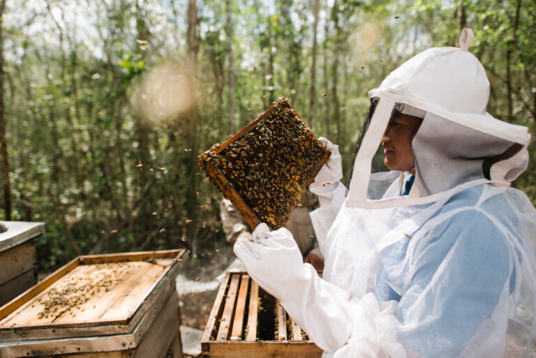 Licensing – Tandem Stills + Motion