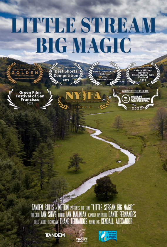 A Short Film “Little Stream, Big Magic” – Tandem Stills + Motion